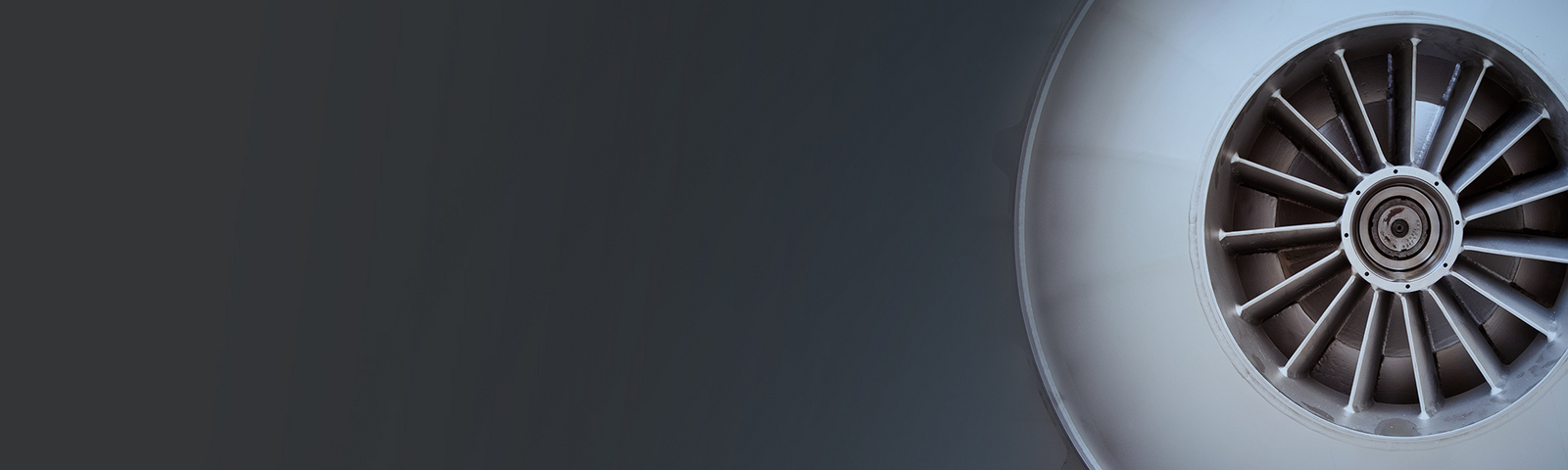 Industrial expertise for the process industry | Piller Blowers ...